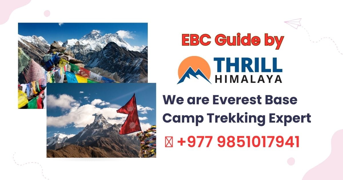 Contact Us - EBC Guide